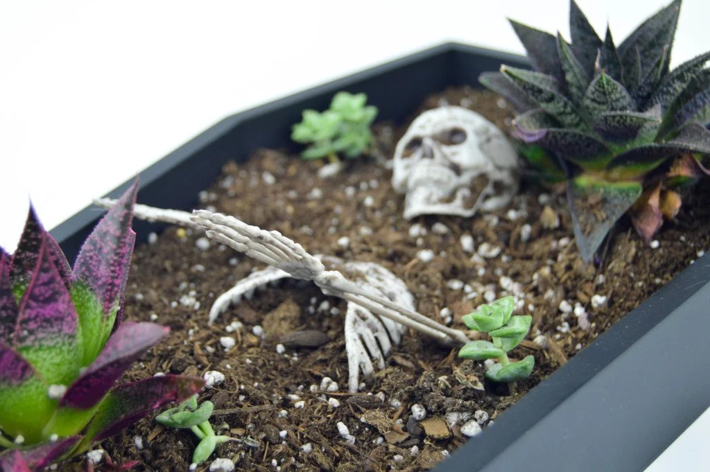 10 Halloween DIY Projects Perfect for Springoween — Spooky Little Halloween