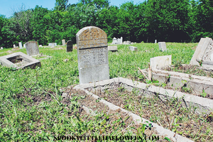 Spooky in the City: Olivewood Cemetery — Spooky Little Halloween