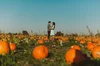 40+ Stunning Halloween Wedding Ideas — Spooky Little Halloween