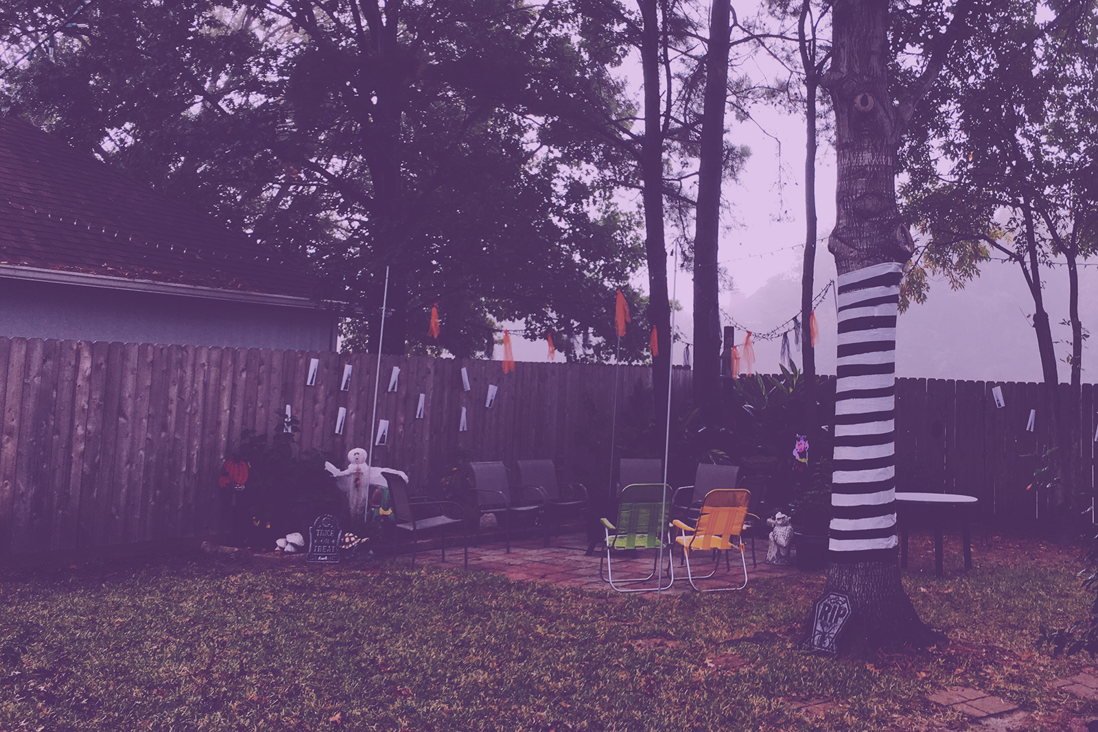 DIY Under $10: Black & White Tim Burton Trees — Spooky Little Halloween