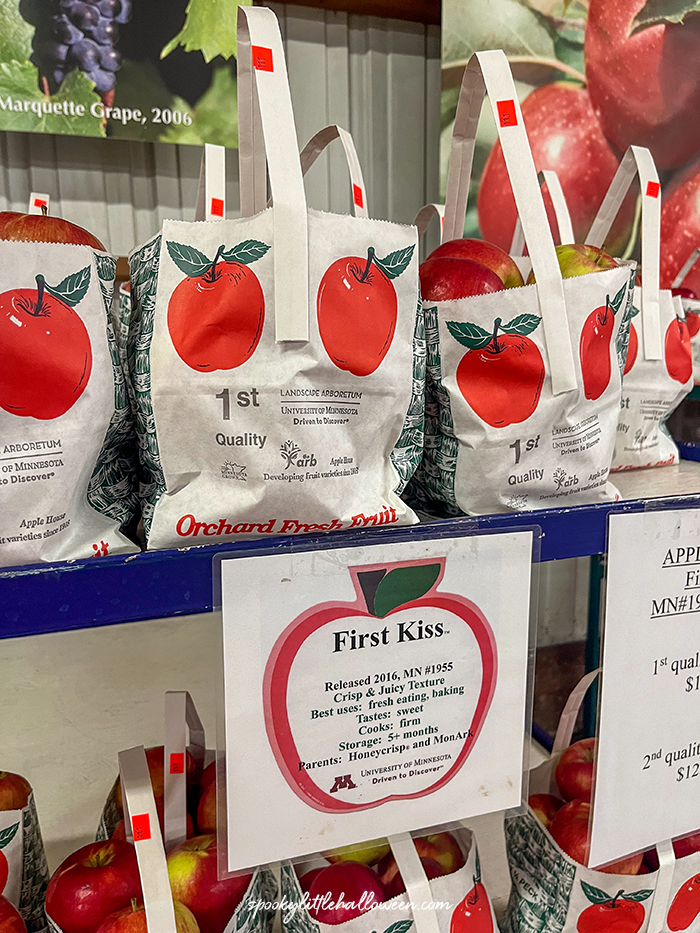 Spooky in the City: The AppleHouse — Spooky Little Halloween