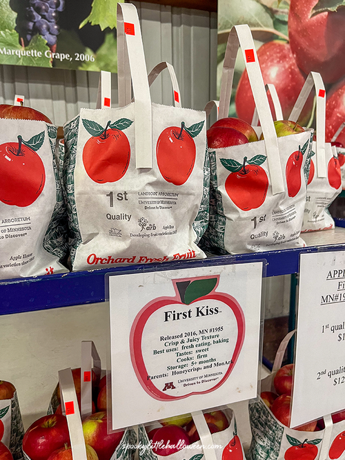 Spooky in the City: The AppleHouse — Spooky Little Halloween