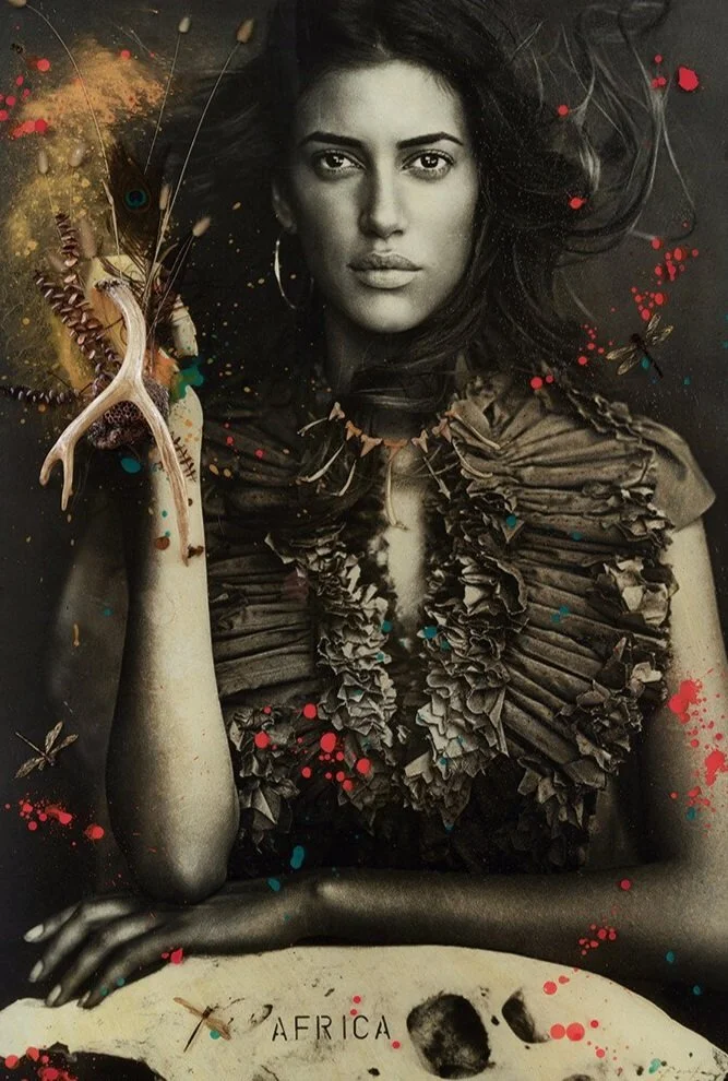 Chase Contemporary | New York