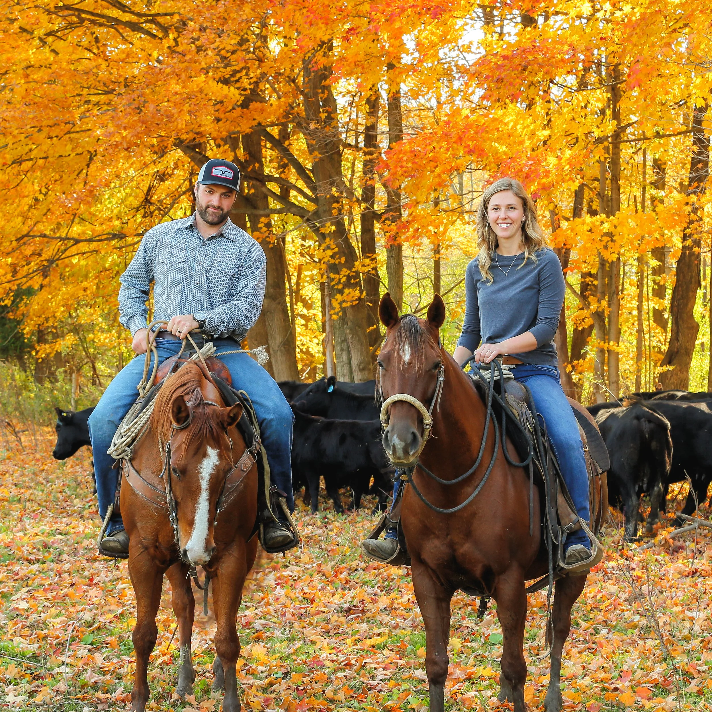 Darren Martin Real Estate