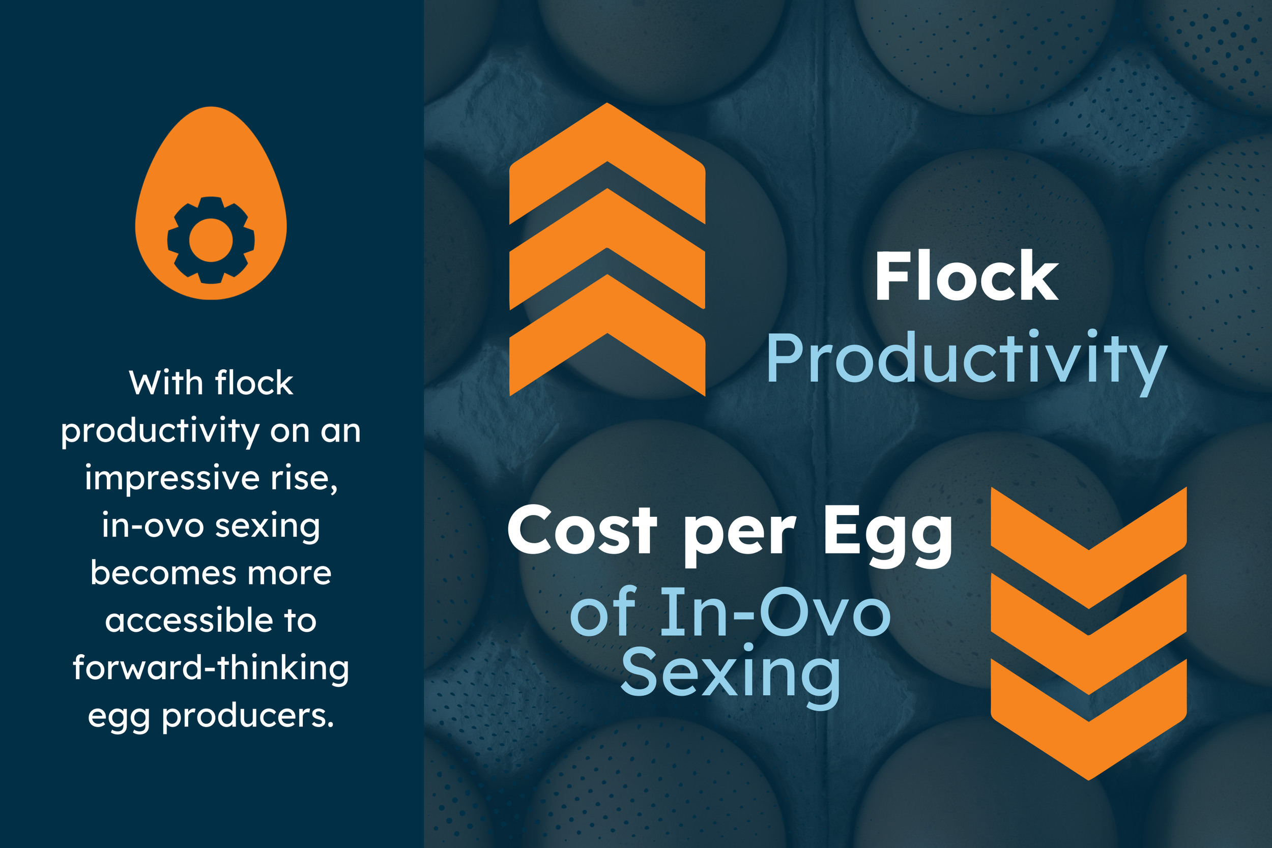 In-Ovo Sexing Overview — Innovate Animal Ag