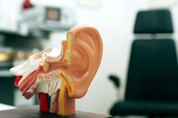 Sinus Ear Nose and Throat Center of West Texas