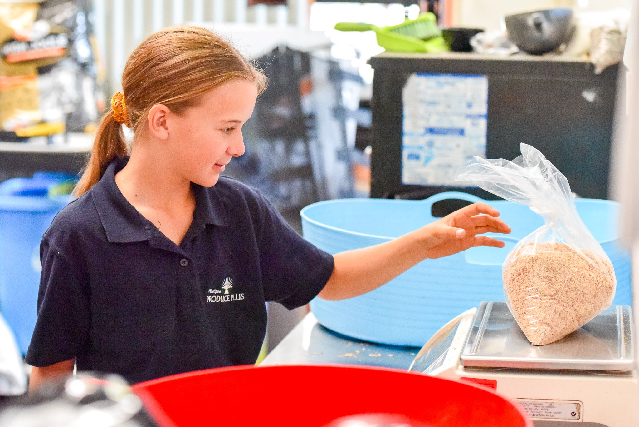 About — Mudgee Produce Plus