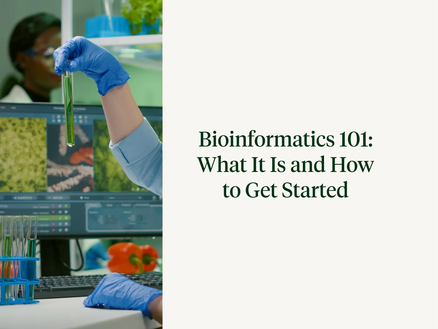Bioinformatics 101: What it is and How to Get Started — AdaMarie