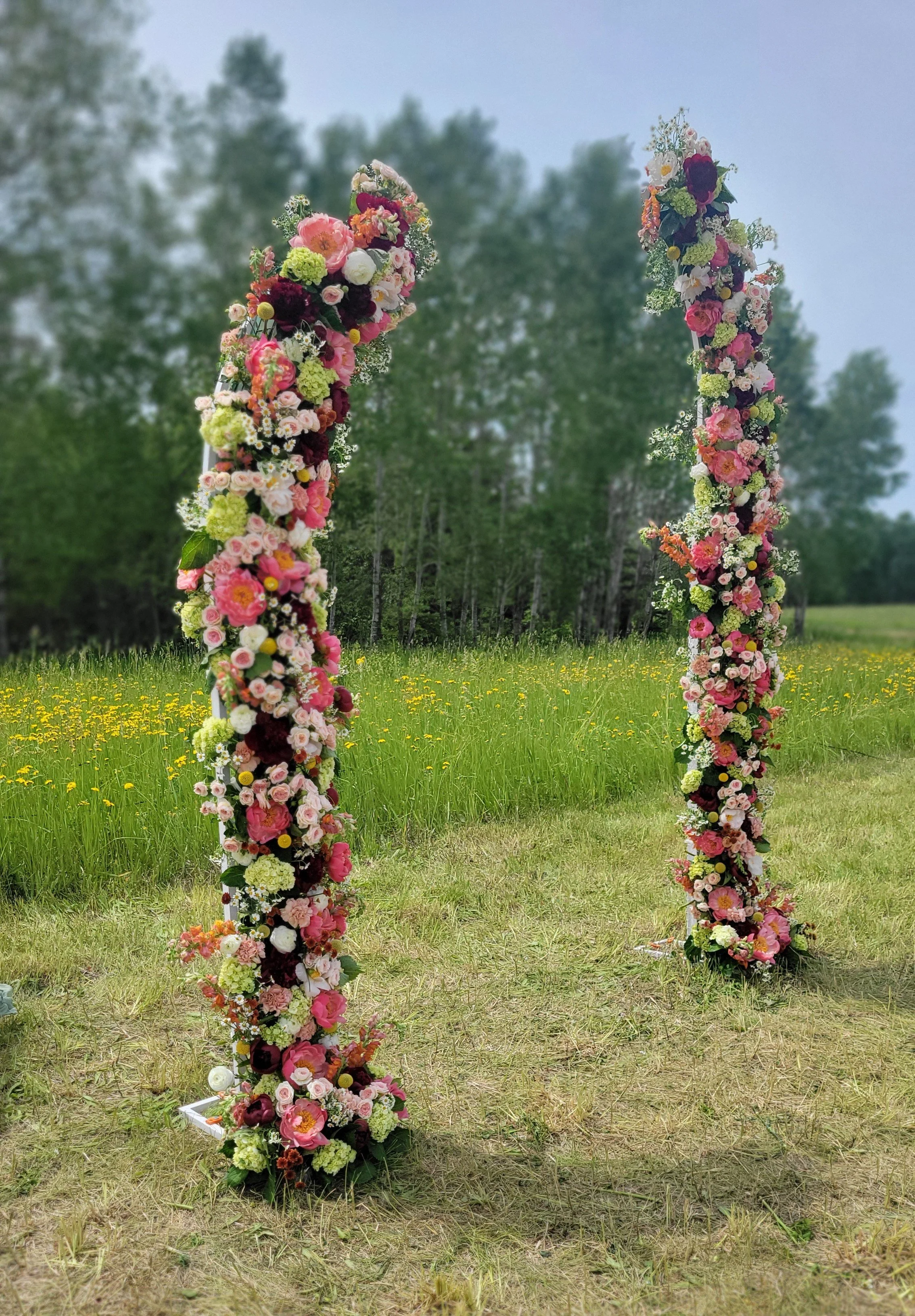 Heavenly Bloom Acres