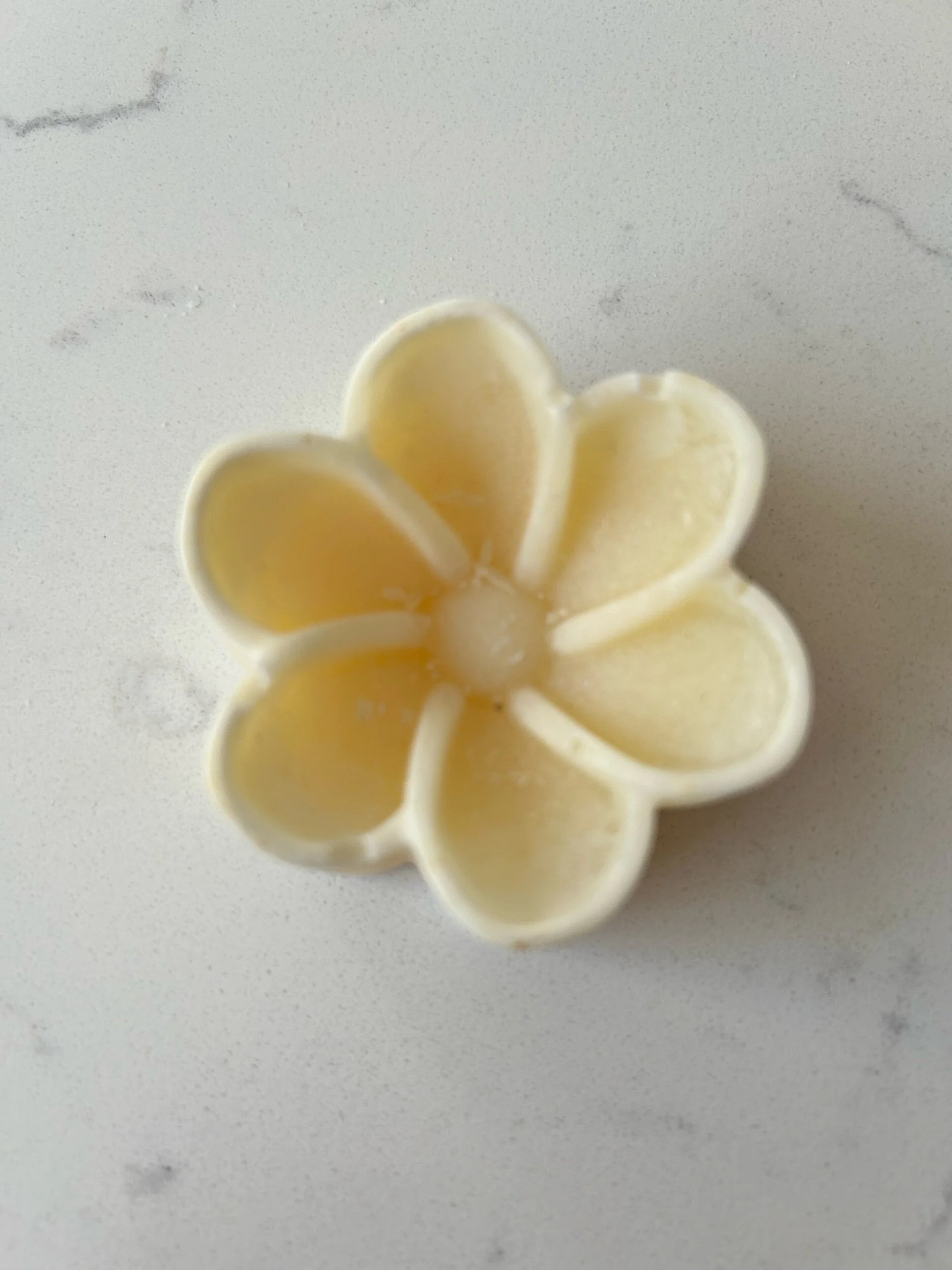 Store 1 — Alephia Holistic Life Mastery