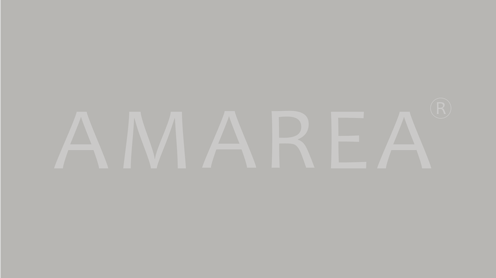 AMAREA Technology — 3D Printers