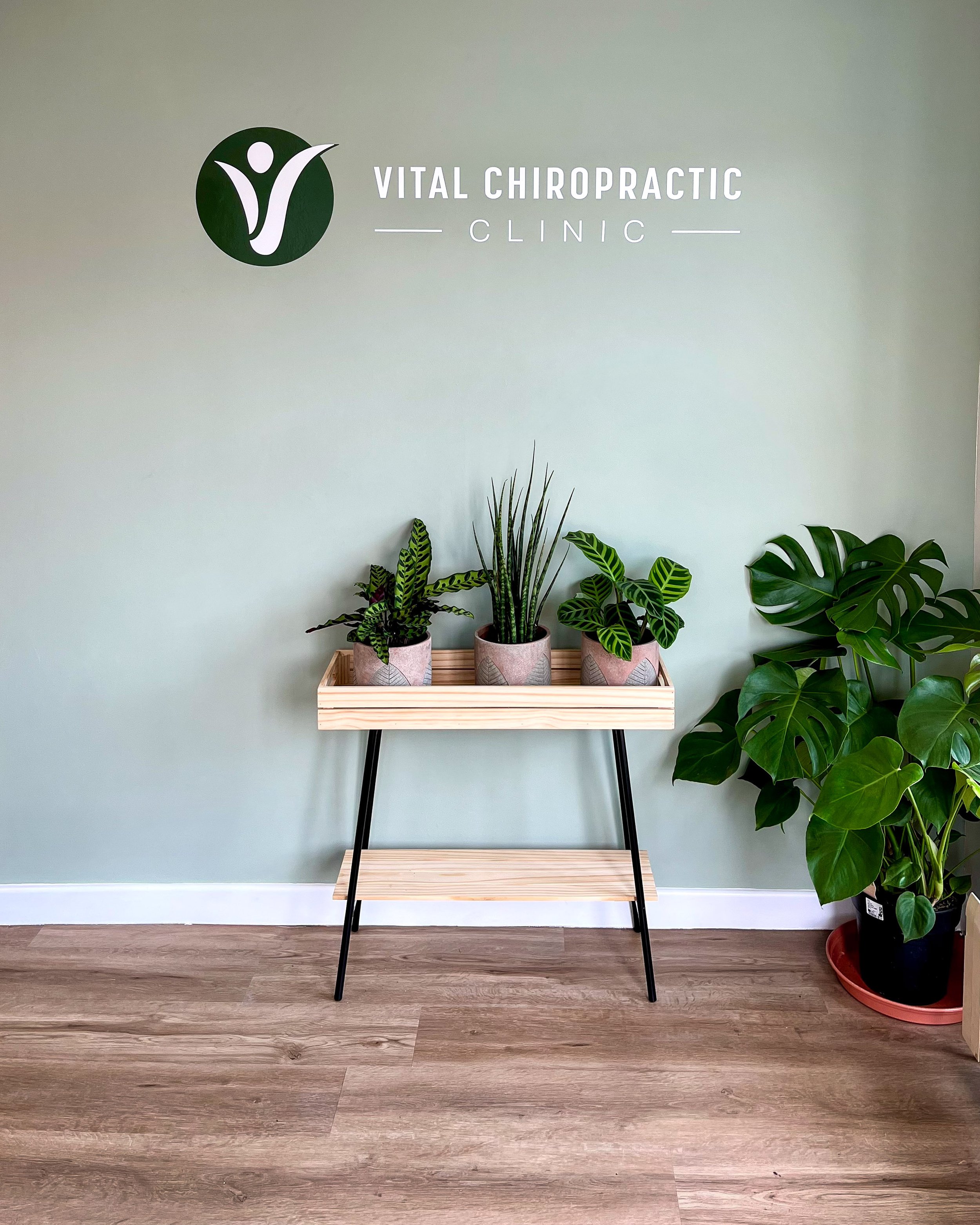 Vital Chiropractic Clinic