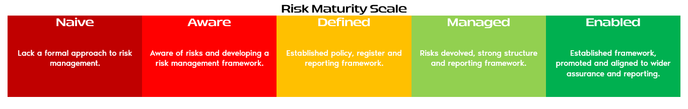Risk Maturity — Validera