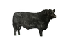 Aberdeen-Angus Breeders Association Inc.