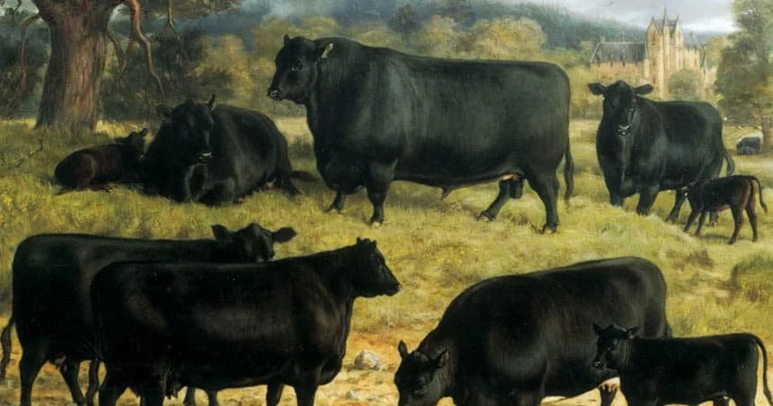 Aberdeen-Angus Breeders Association Inc.
