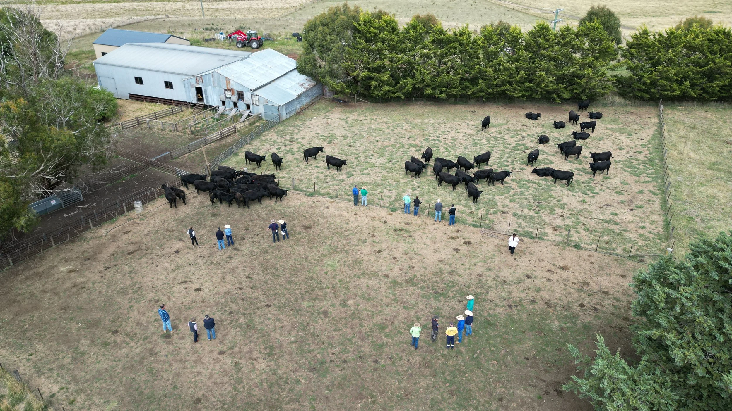 General 6 — Aberdeen-Angus Breeders Association Inc.