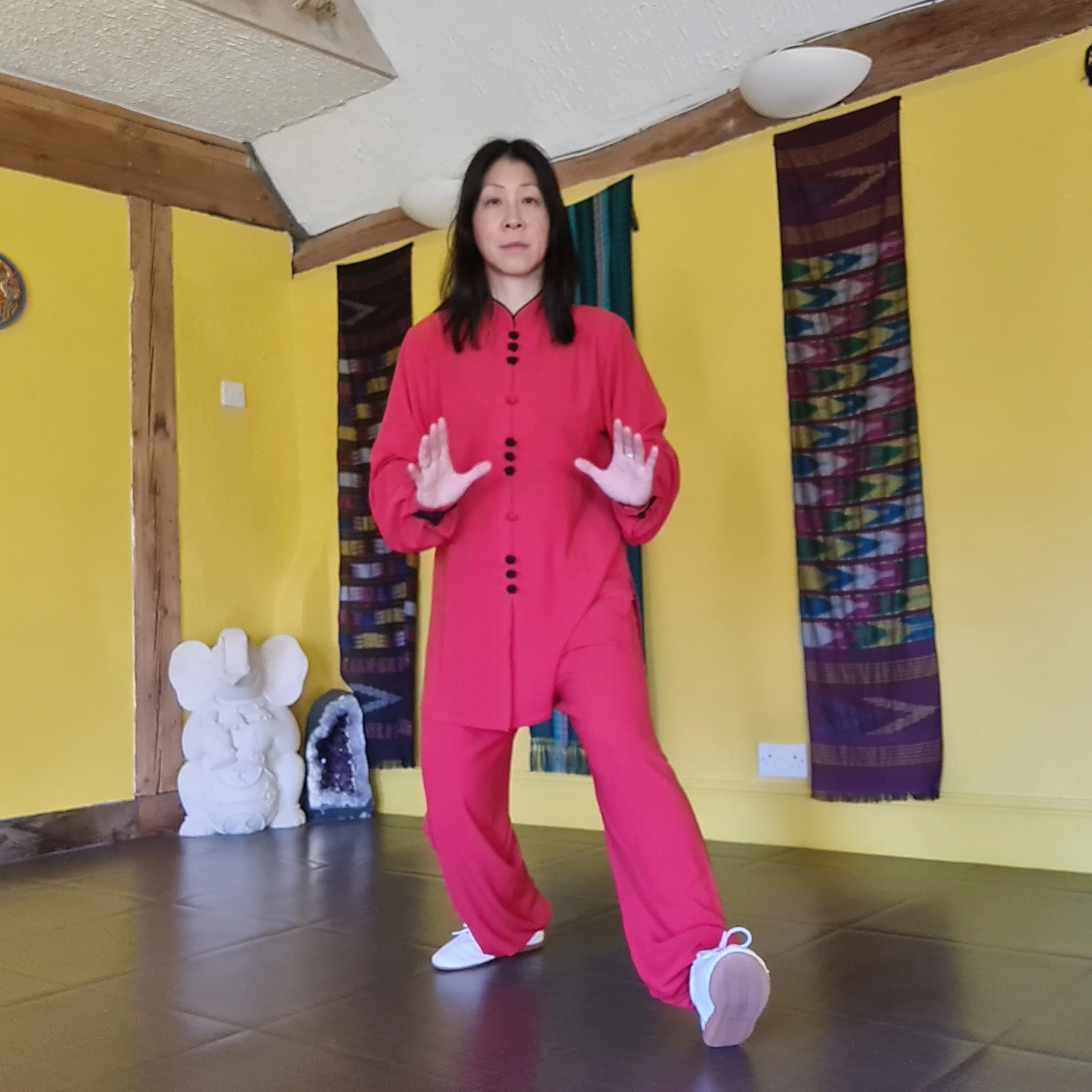 Applying Tai Chi Principles to Yang Style 8-Step Form — Elephant Rooms