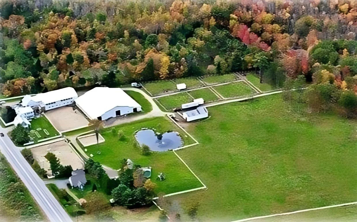 About — Alcatraz “Raz” 2015 AQHA Stallion