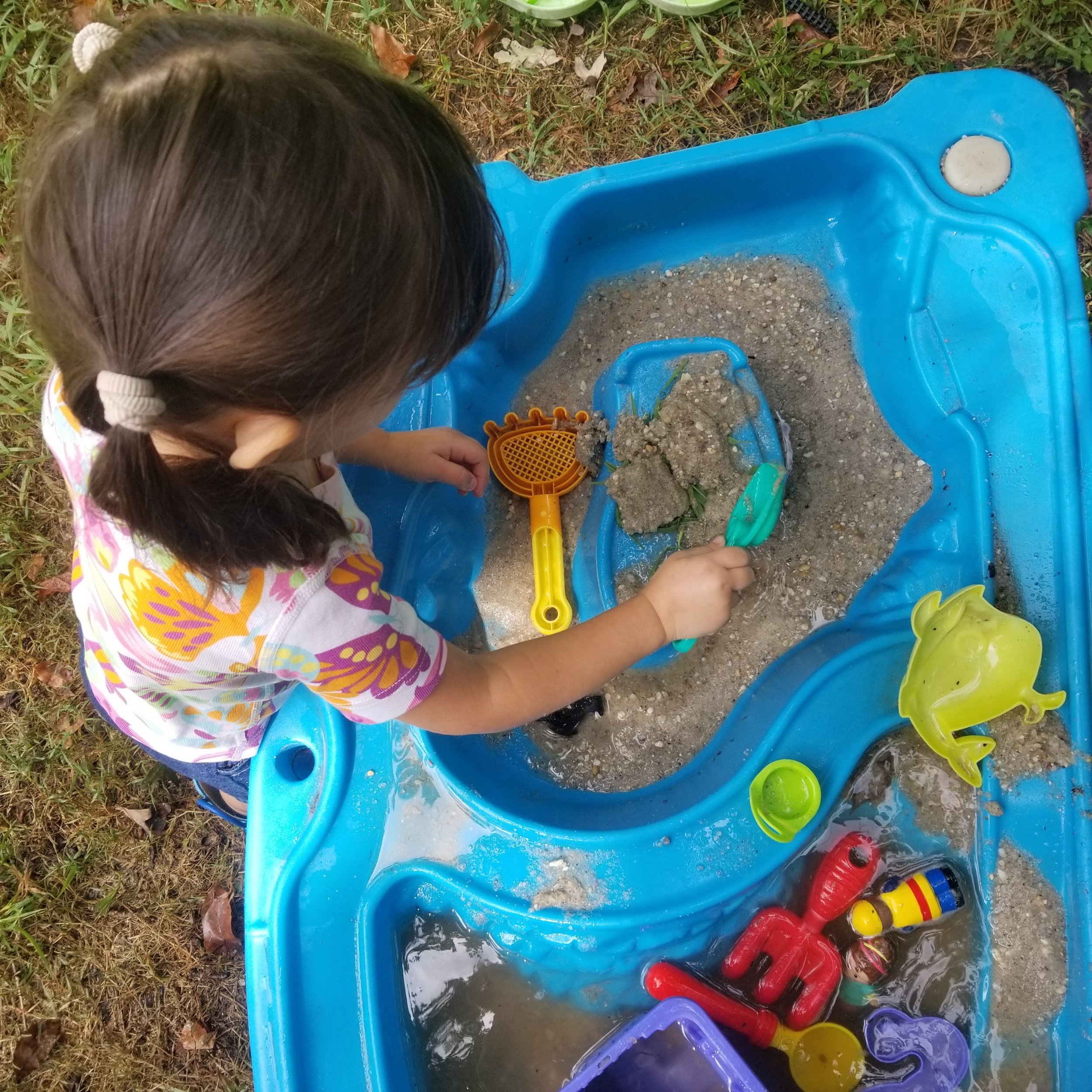 Programs — Freedom Learning Center