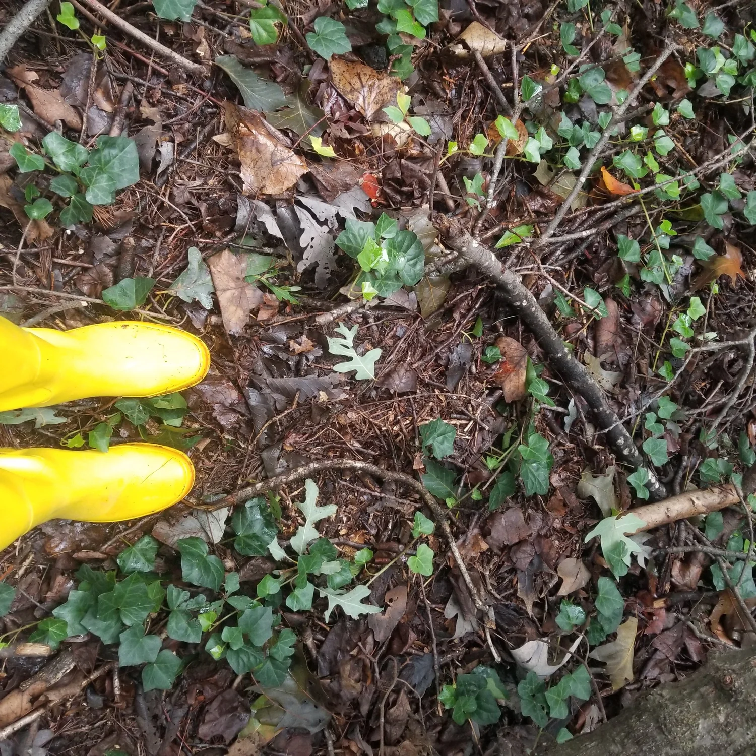 Programs — Freedom Learning Center