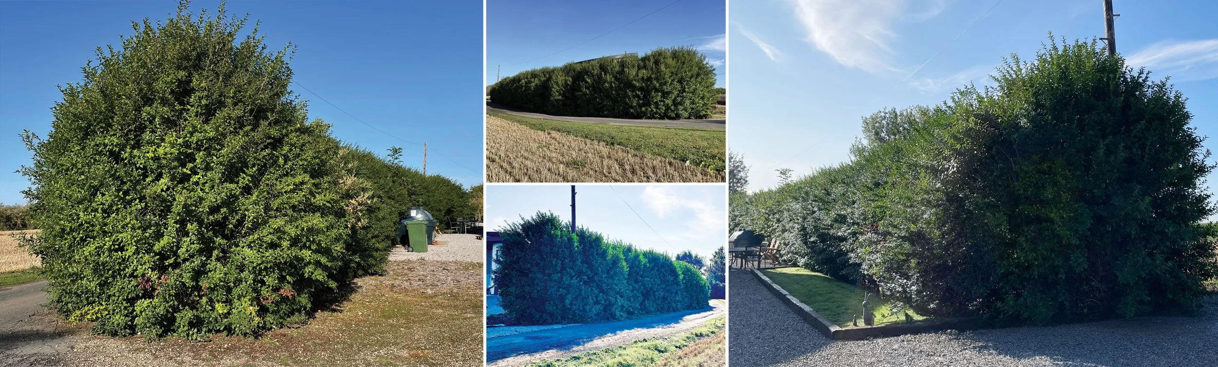 2023: Year in Review - Part 2 — D E Garden Services