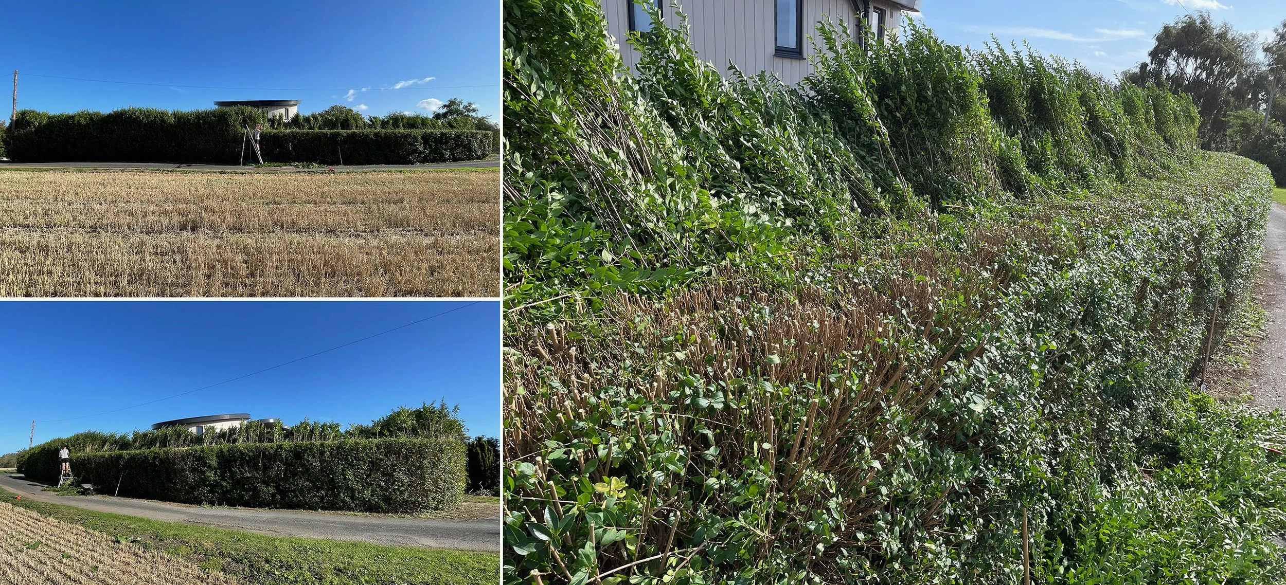 2023: Year in Review - Part 2 — D E Garden Services