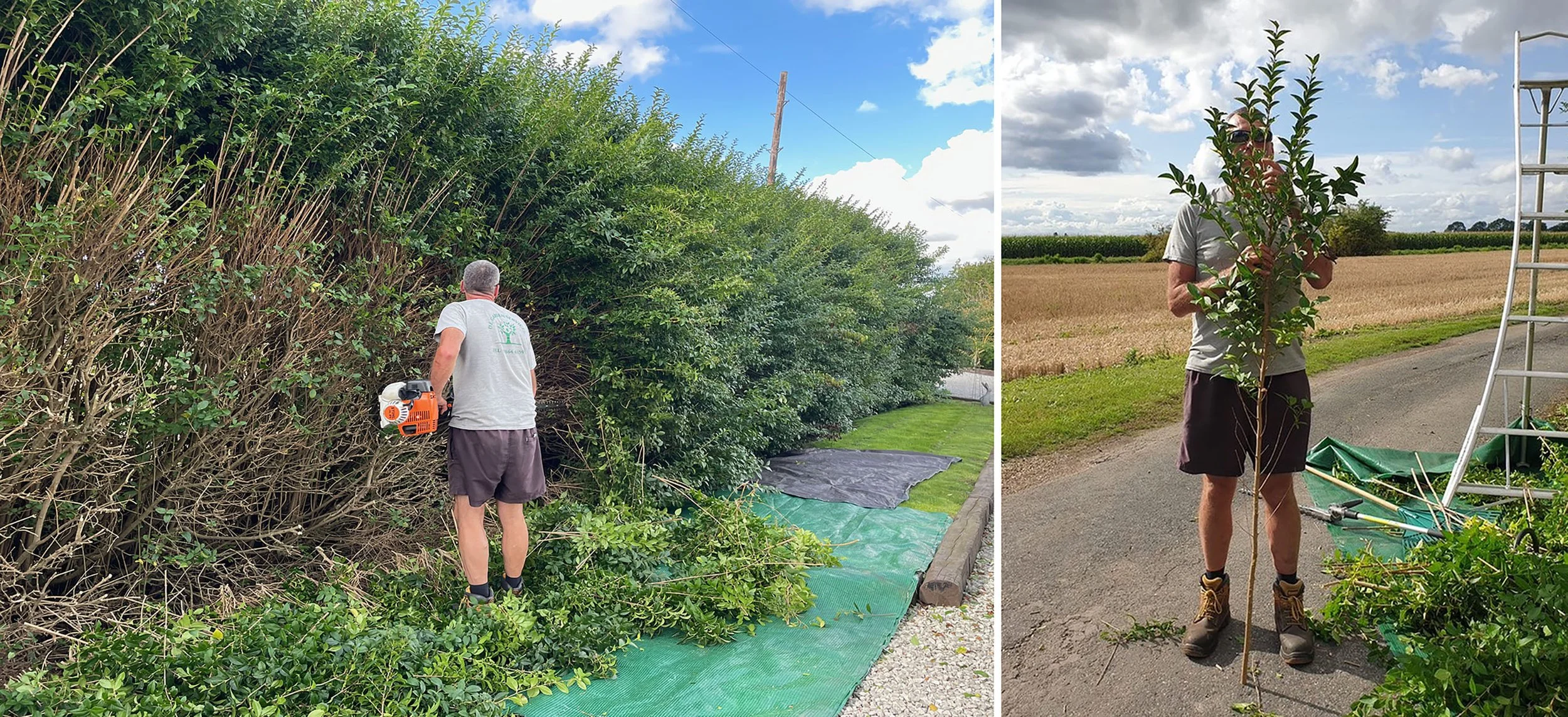 2023: Year in Review - Part 2 — D E Garden Services