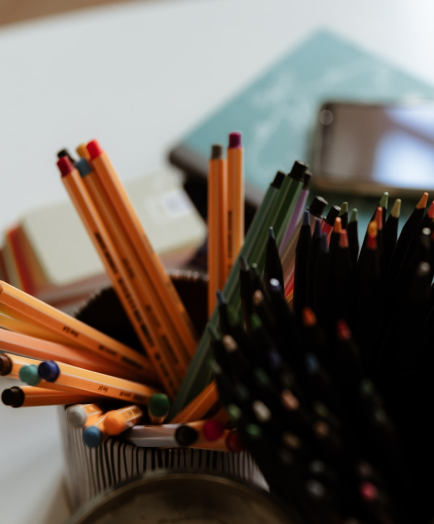 Miosotis Studio - Brand Design