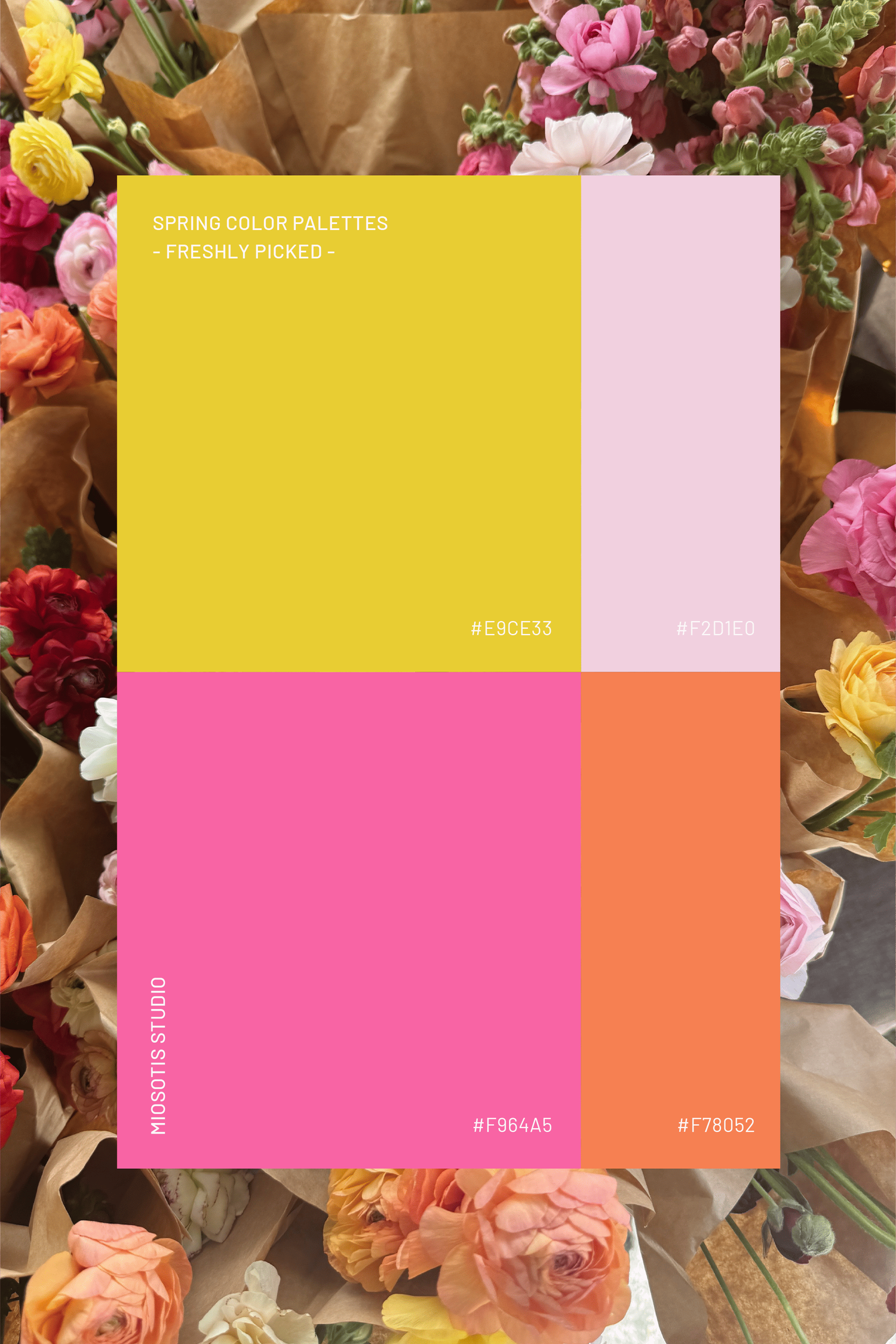 11 Color Palettes for Spring: A Fresh Look for Your Brand — Miosotis Studio