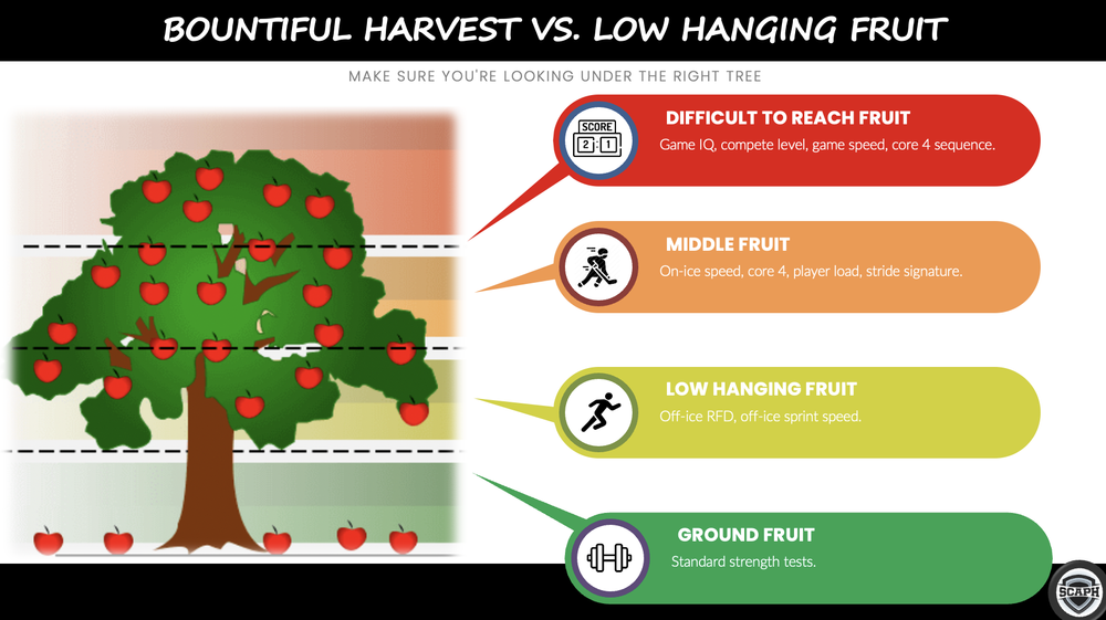 Low Hanging Fruit — Anthony Donskov, PHD