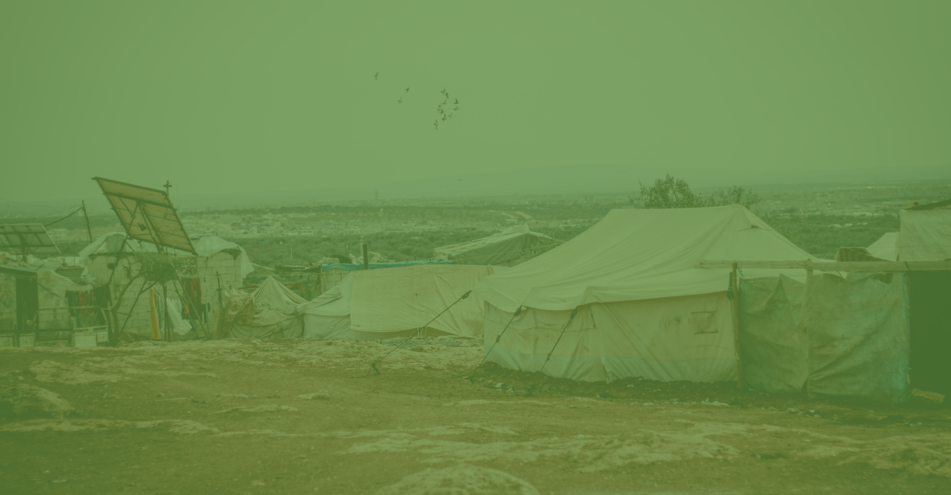 SCORP — IFMSA-Sweden