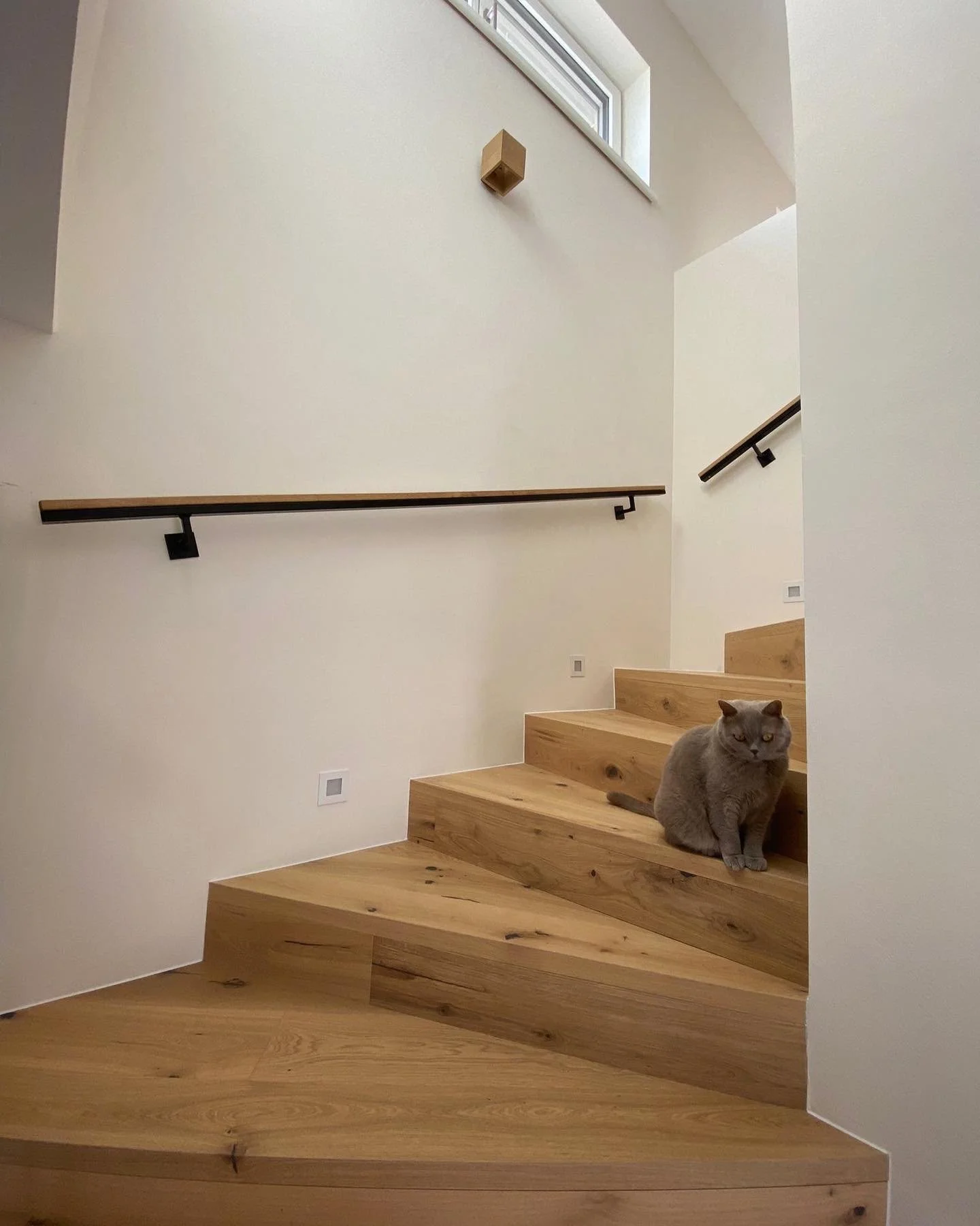 Modell 1HS - Holz | Stahl — Designhandlauf.com