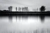 influencers - Chris Friel — Alan Brown | Intentional Camera Movement ...