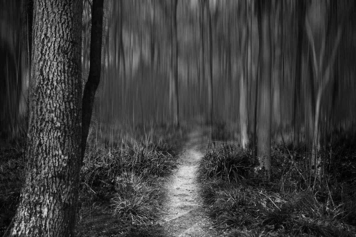 influencers - Chris Friel — Alan Brown | Intentional Camera Movement ...