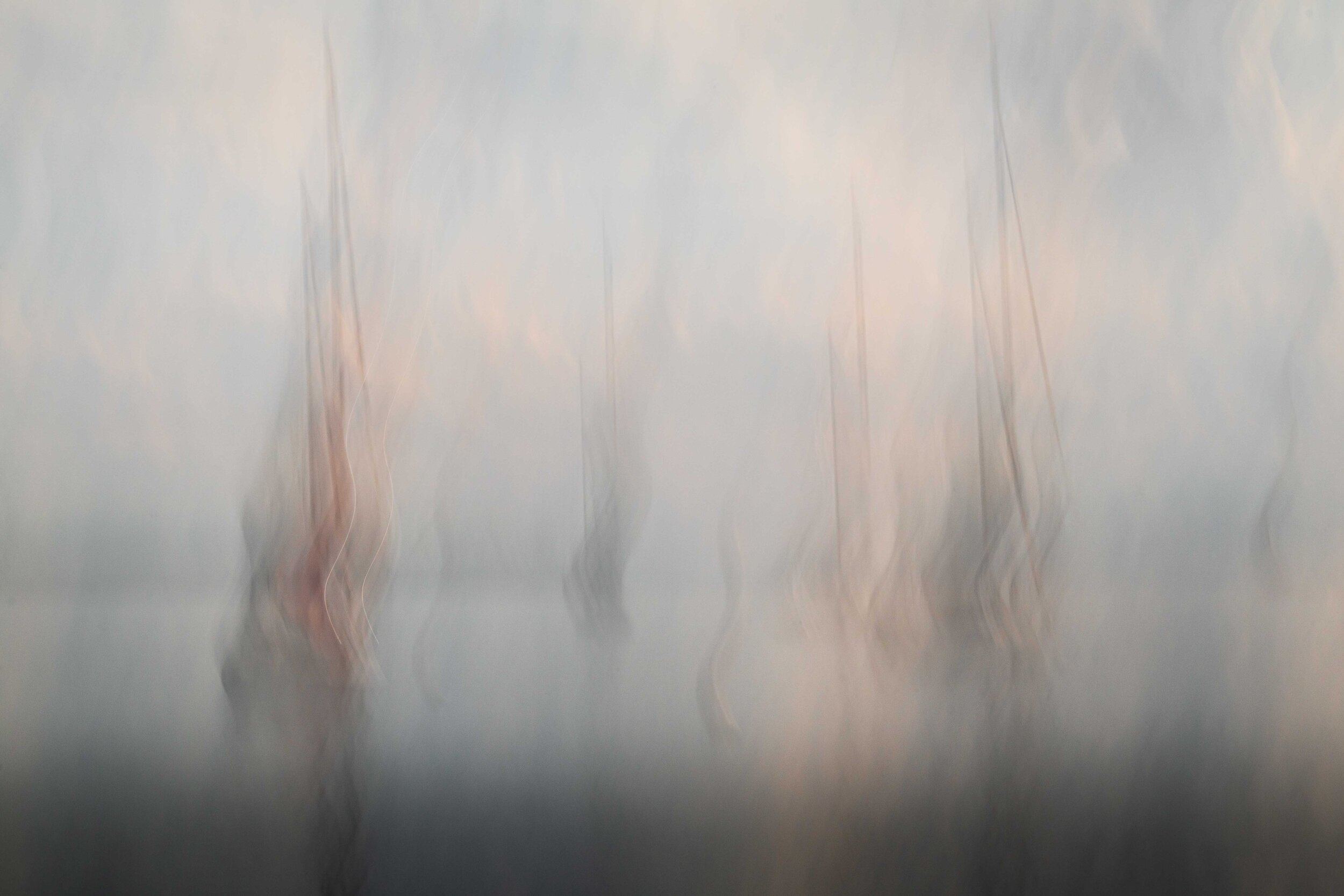 ICM technique summary — Alan Brown | Creative photography and guides