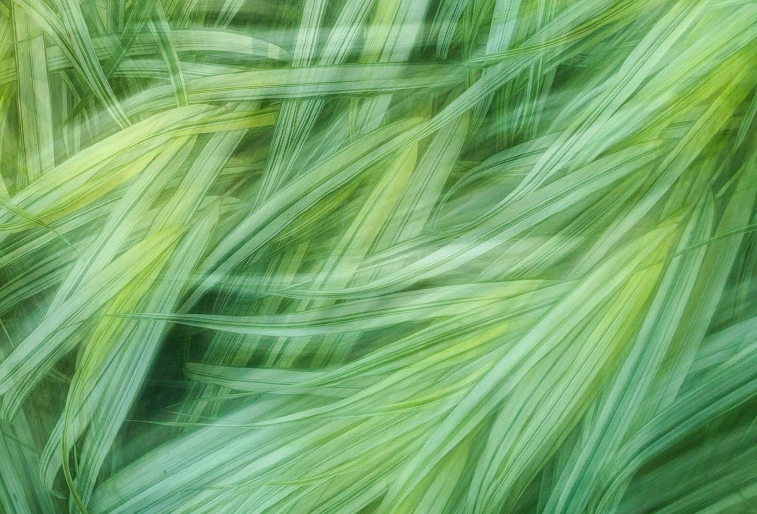 ICM technique summary — Alan Brown | Creative artwork and guides