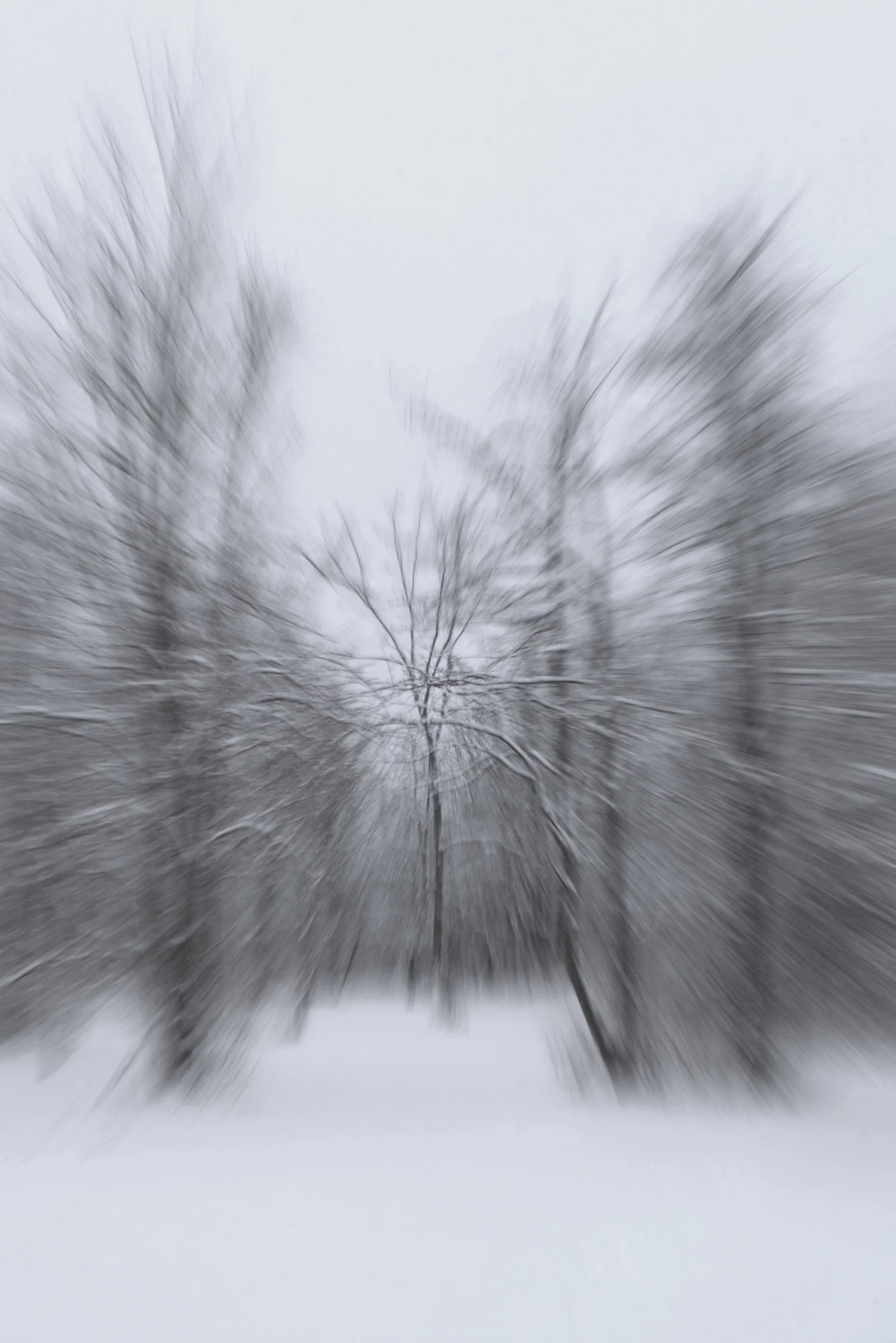 ICM field examples — Alan Brown | Intentional Camera Movement (ICM ...