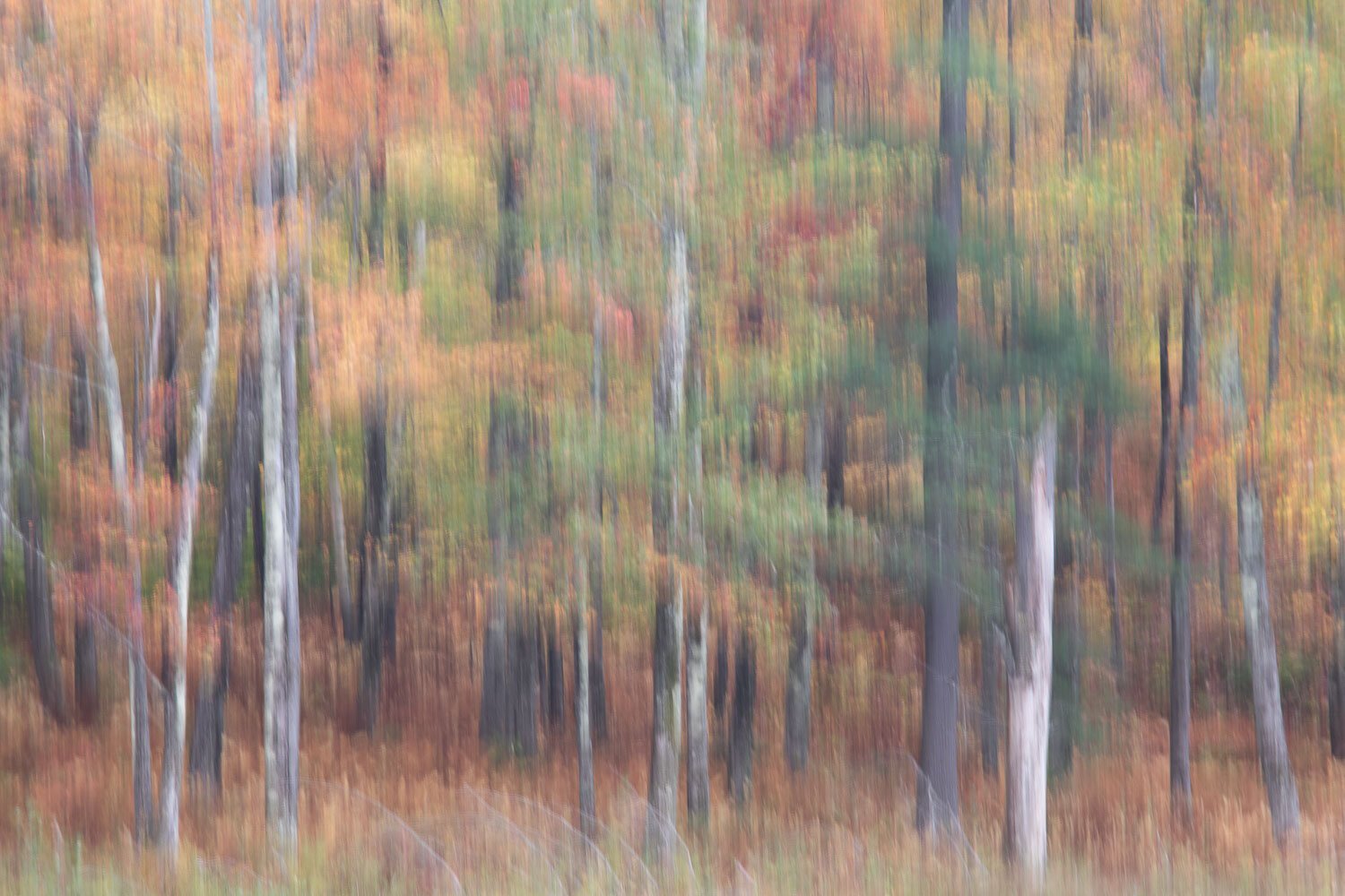 Learning ICM through simulation — Alan Brown | Intentional Camera ...