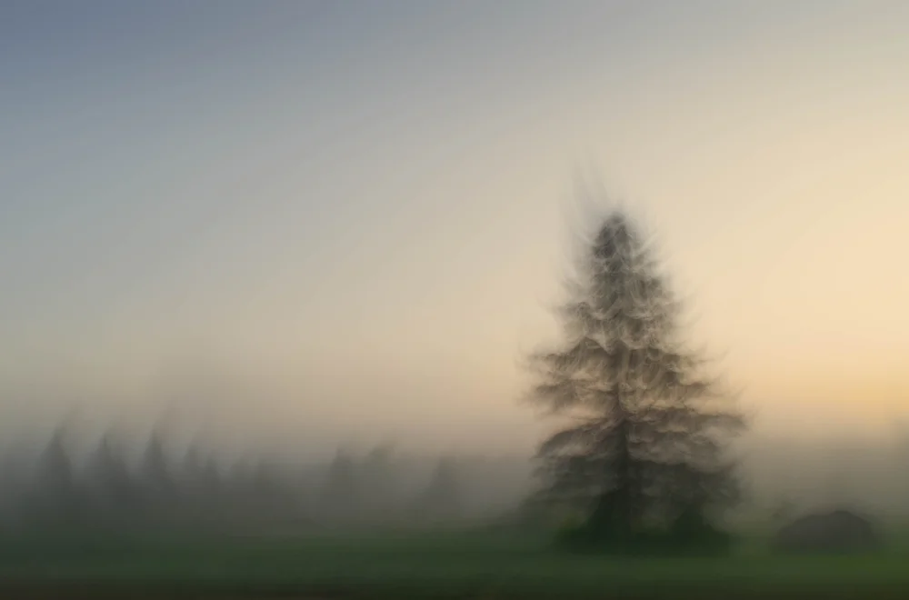 ICM technique summary — Alan Brown | Creative photography and guides