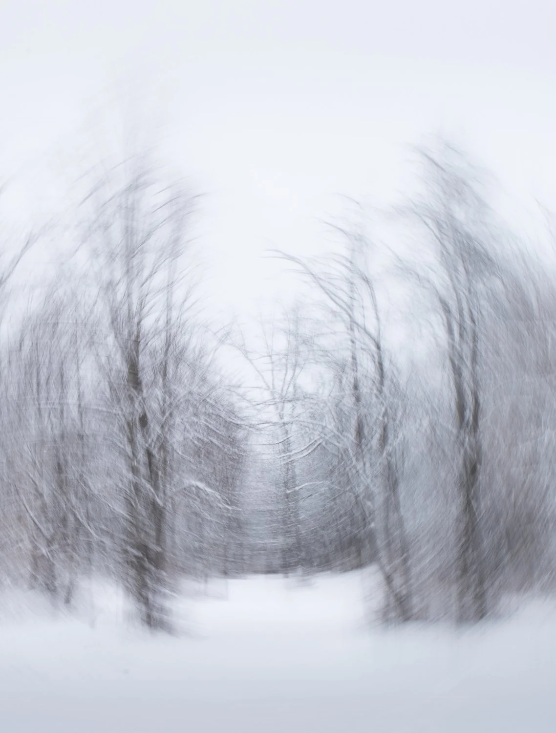 ICM field examples — Alan Brown | Creative artwork and guides