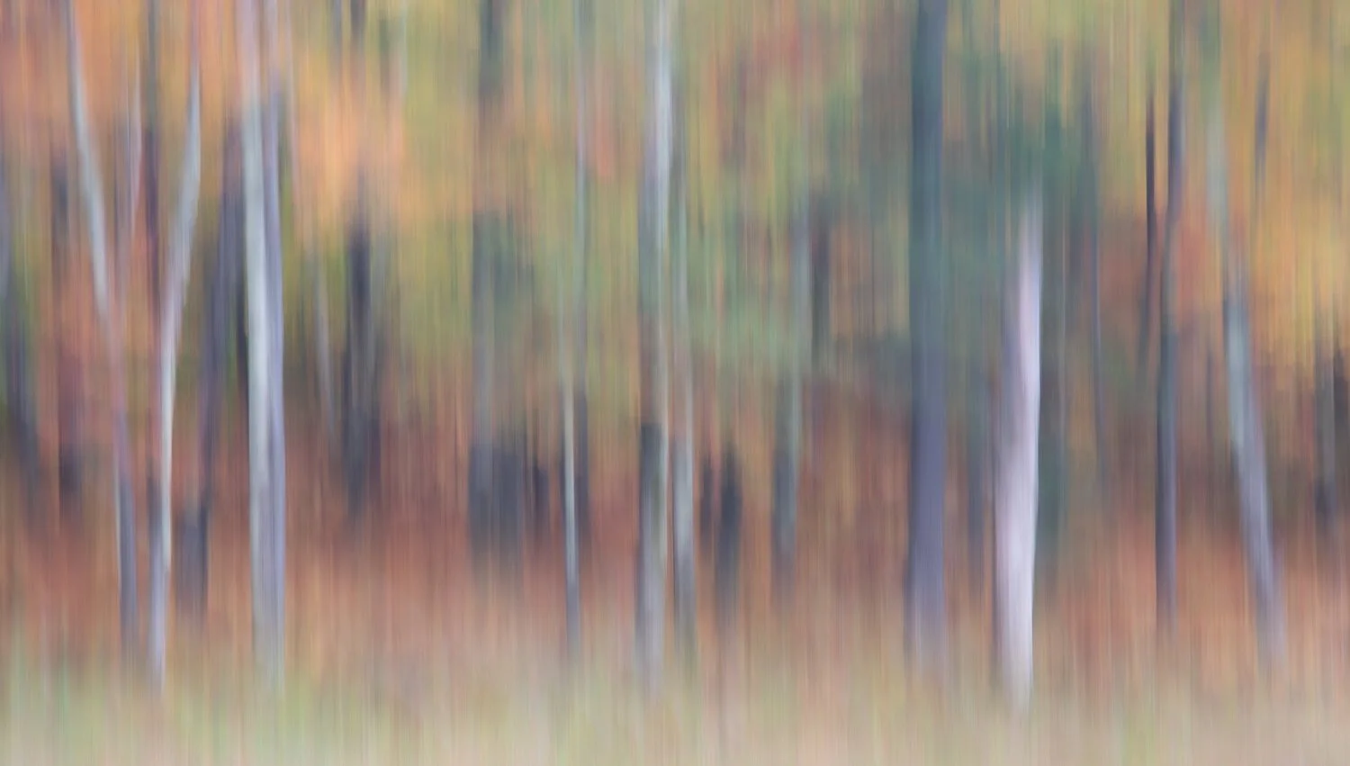 ICM through simulation — Alan Brown | Creative photography and guides