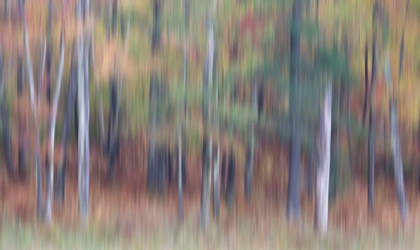 ICM through simulation — Alan Brown | Creative photography and guides