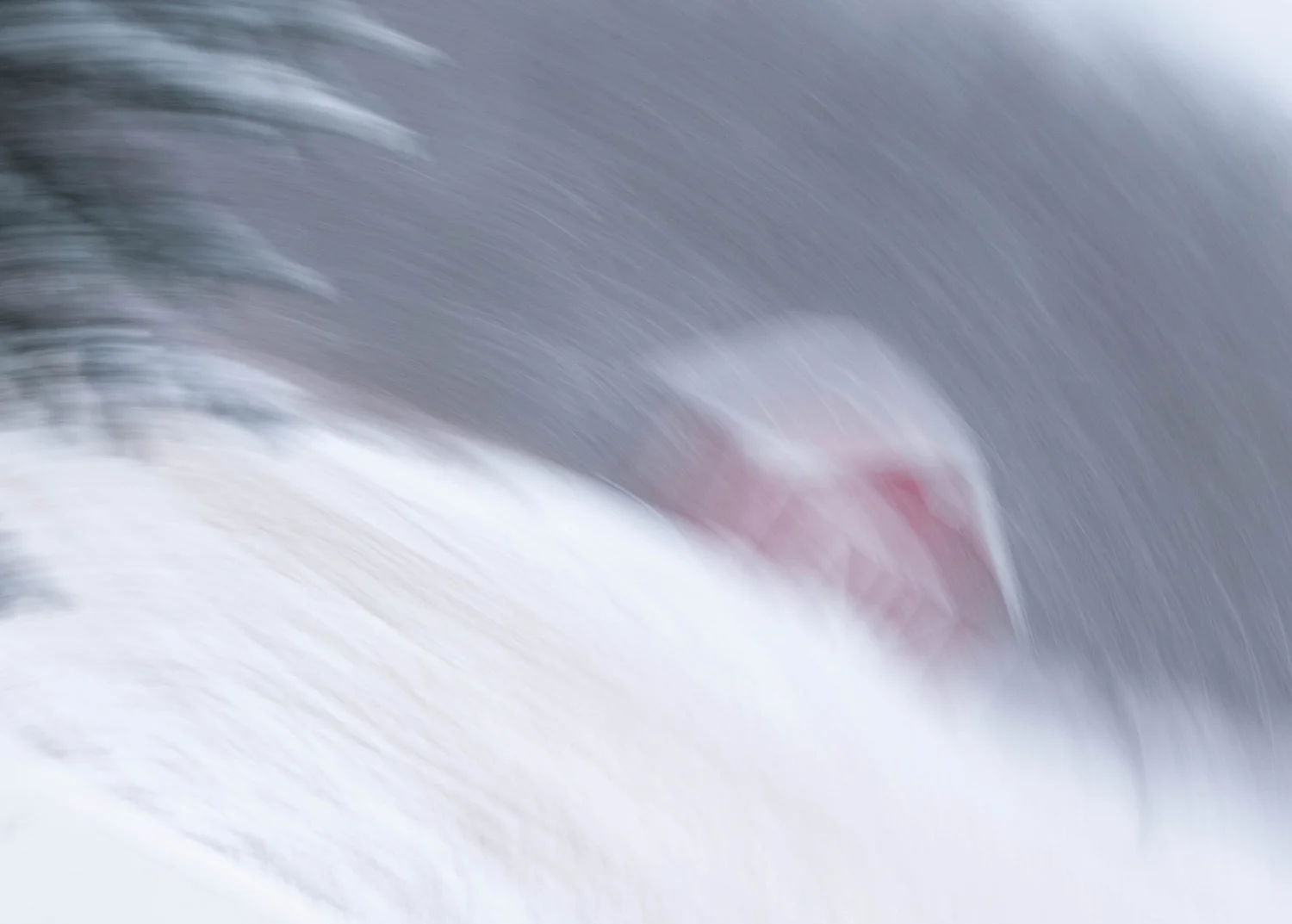 ICM technique summary — Alan Brown | Creative photography and guides