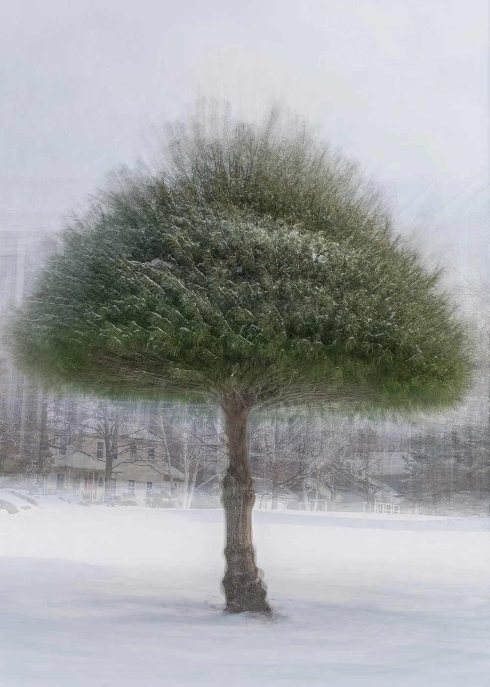 ICM technique summary — Alan Brown | Creative photography and guides