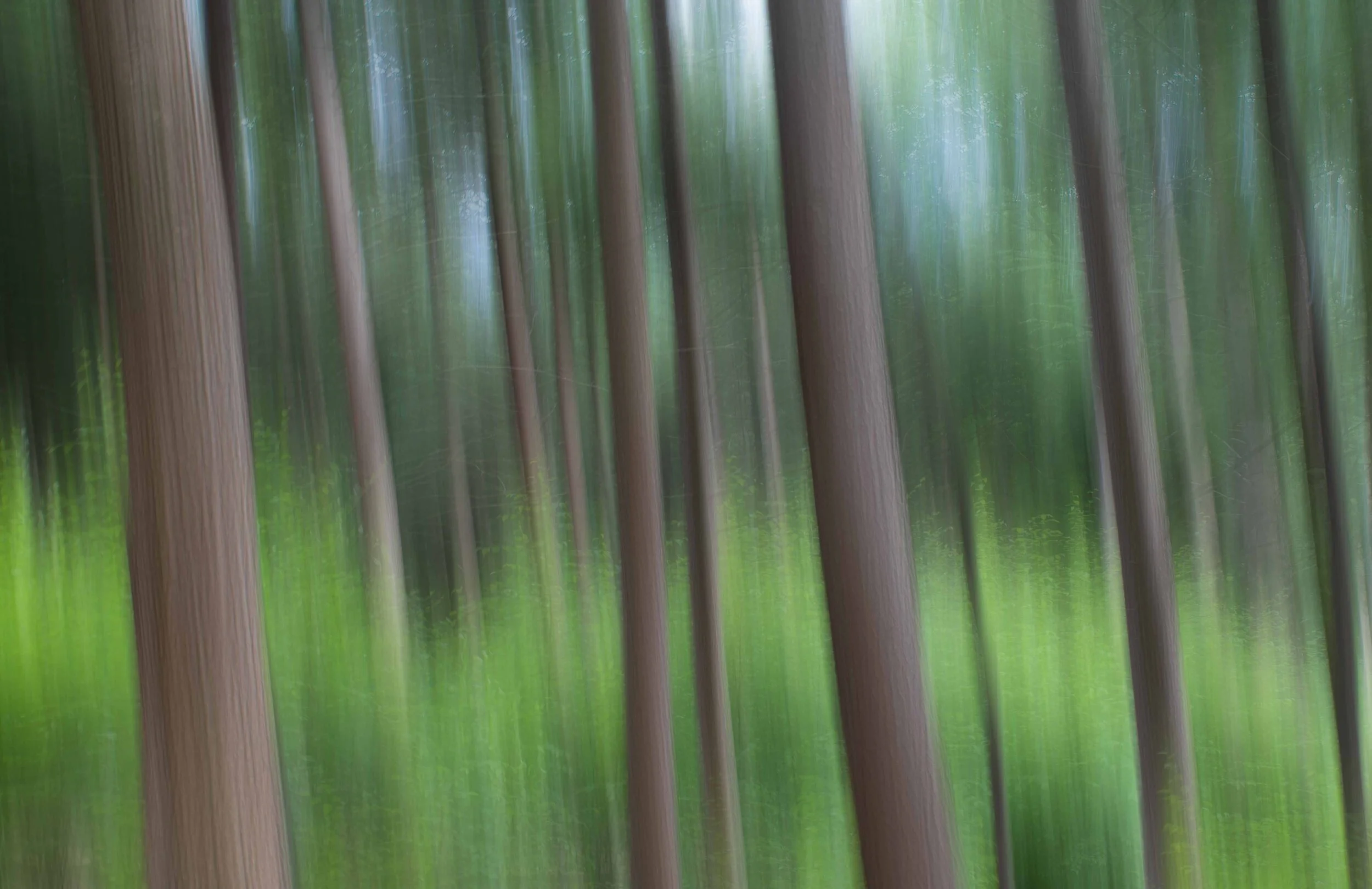 ICM technique summary (Copy) — Alan Brown | Creative photography and guides