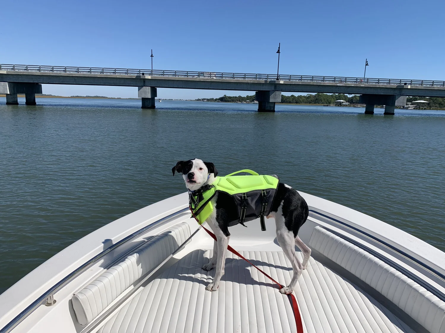 Morris Island Charters