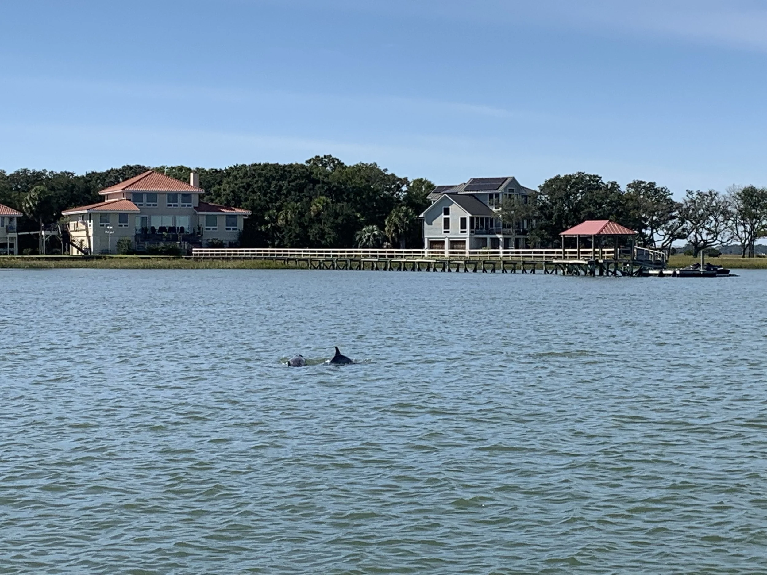 Morris Island Charters