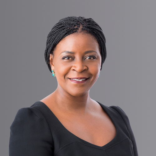 Our Team — Worldmaker Resilience Institute