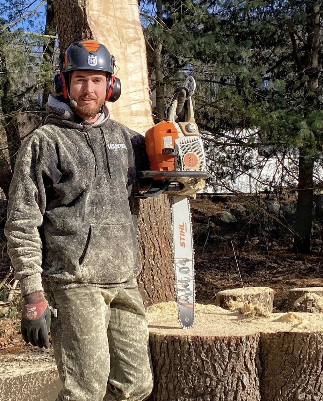 Tree Removal, Tree Trimming Serving Western MA and Northern CT — Taylor Tree Service