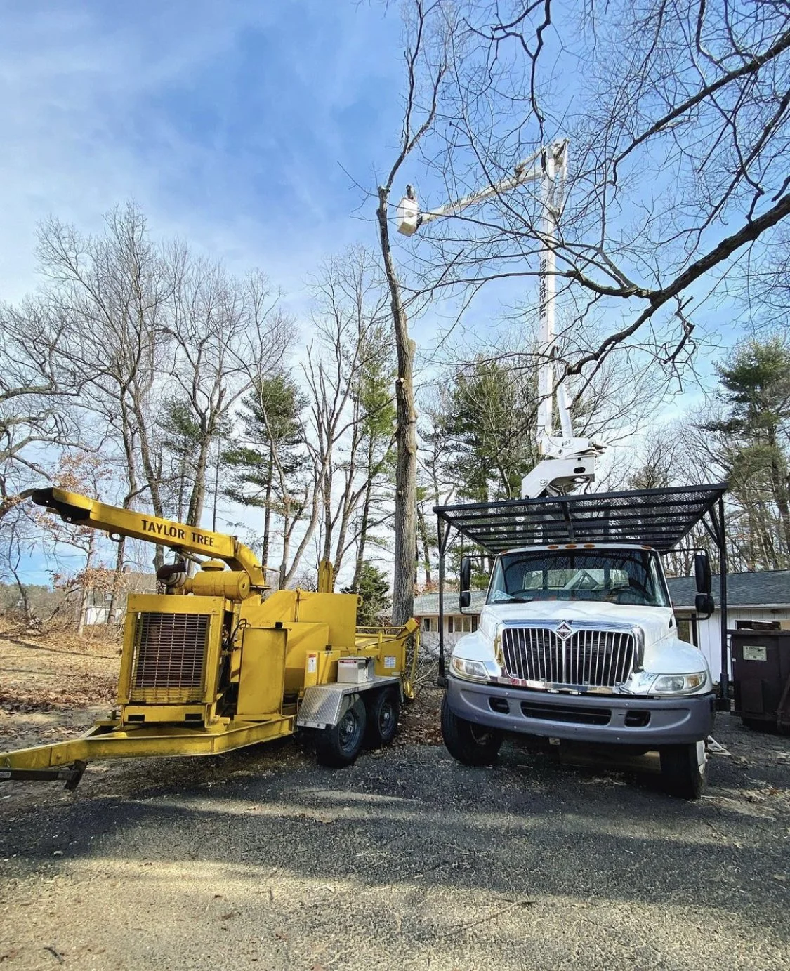 Tree Removal, Tree Trimming Serving Western MA and Northern CT — Taylor ...